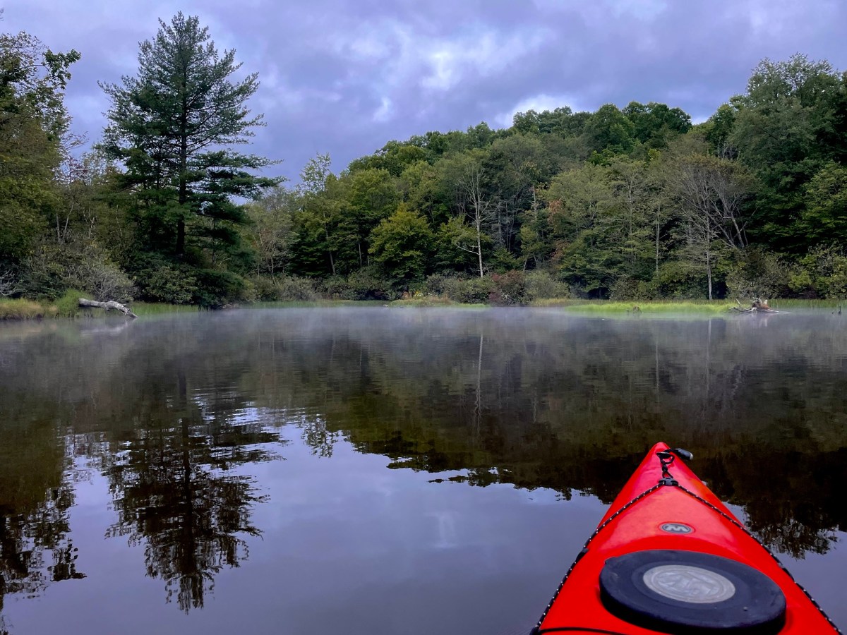 Misty Morning Paddle – Dragonfly Waypoints